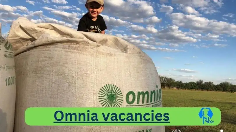 May Omnia Vacancies 2025: Top X8 Jobs To Apply @www.omnia.co.za May Omnia Vacancies 2025: Top X8 Jobs To Apply @www.omnia.co.za
